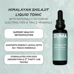 Natural energy booster Shilajit