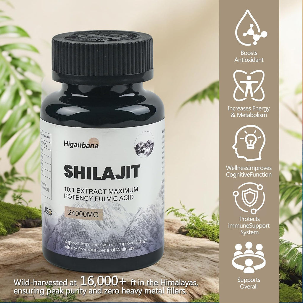natural energy booster Shilajit
