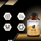 natural energy booster shilajit