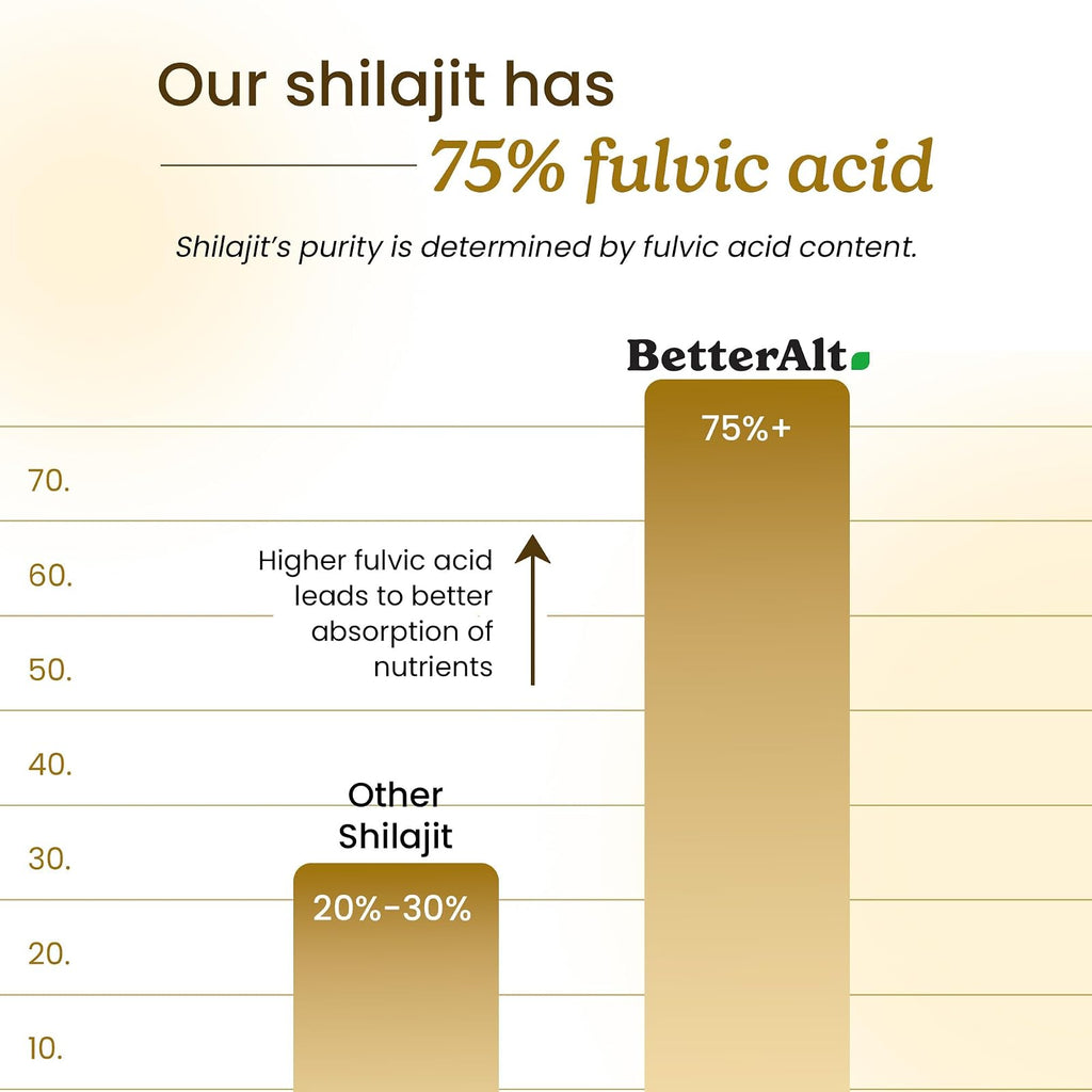 natural energy booster Shilajit