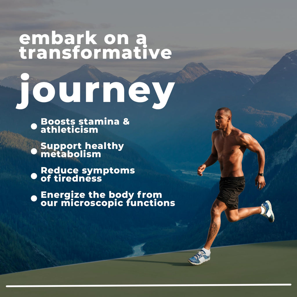 Natural energy booster Shilajit