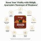 natural energy booster shilajit