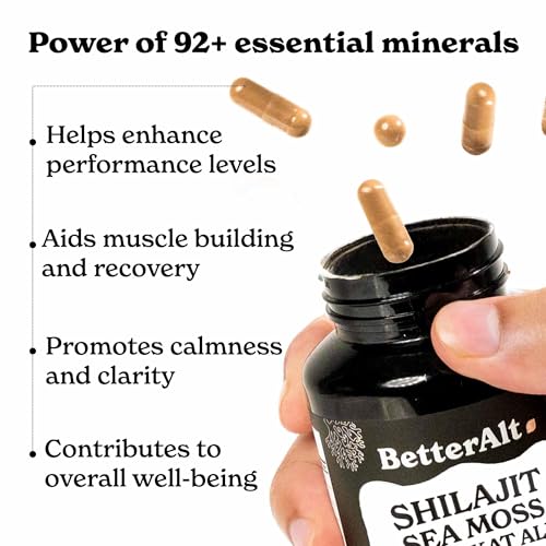 natural energy booster shilajit