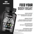 natural energy booster Shilajit