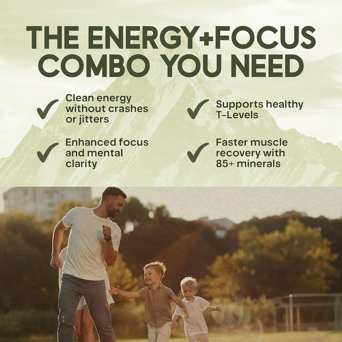 Natural energy booster Shilajit