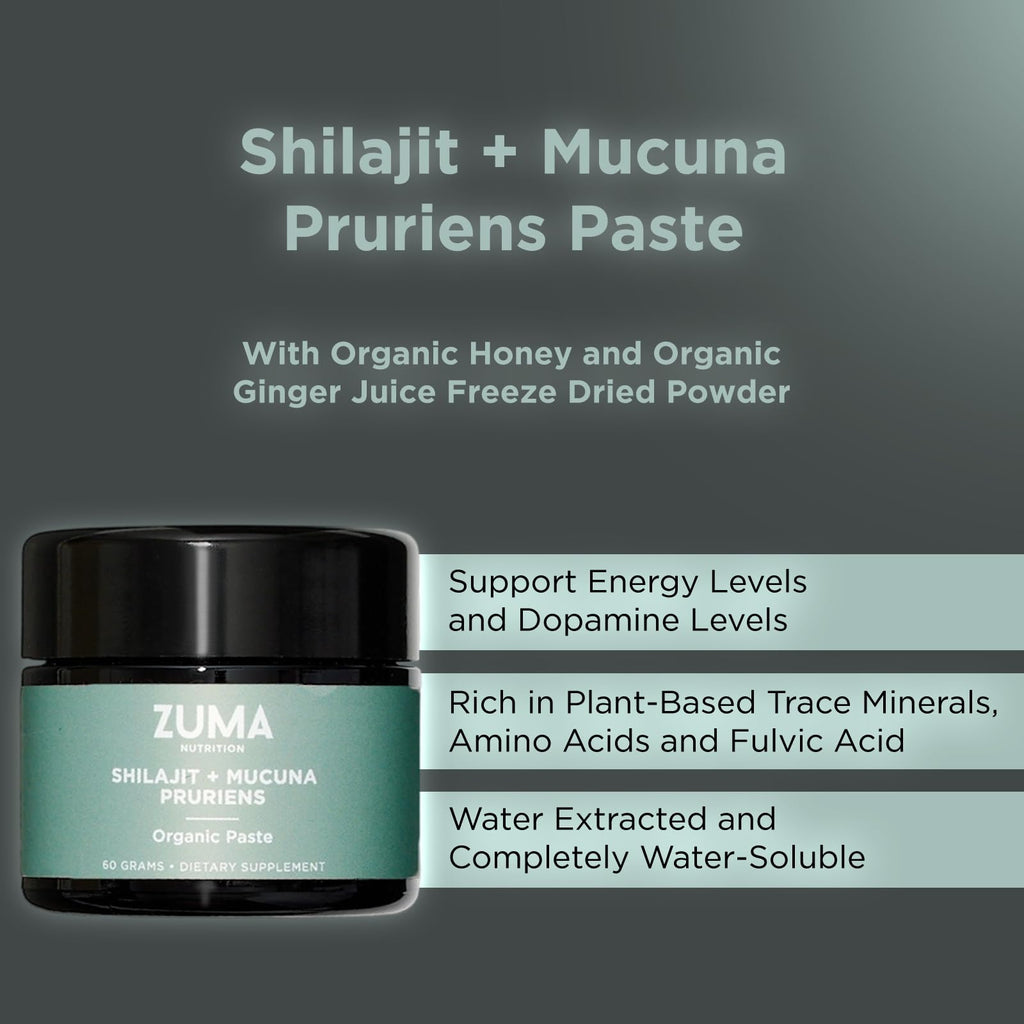 Natural energy booster Shilajit