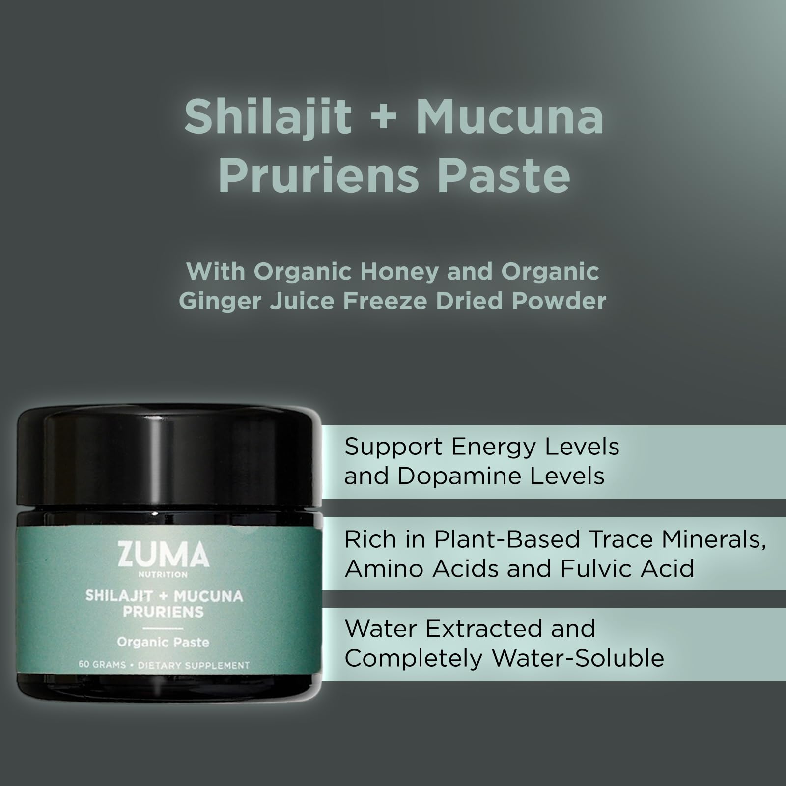 Natural energy booster Shilajit