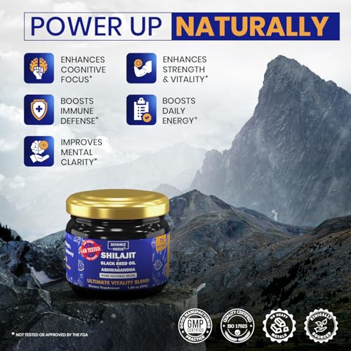 natural energy booster shilajit