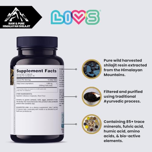natural energy booster shilajit