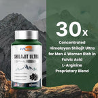 natural energy booster shilajit