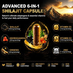 Natural energy booster Shilajit
