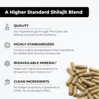 natural energy booster shilajit