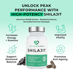 Natural energy booster Shilajit