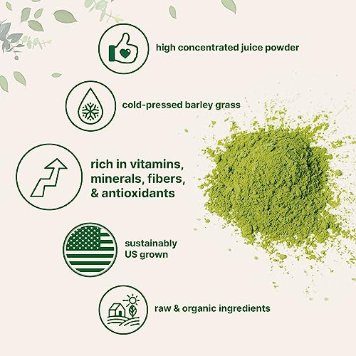 natural energy booster supplement