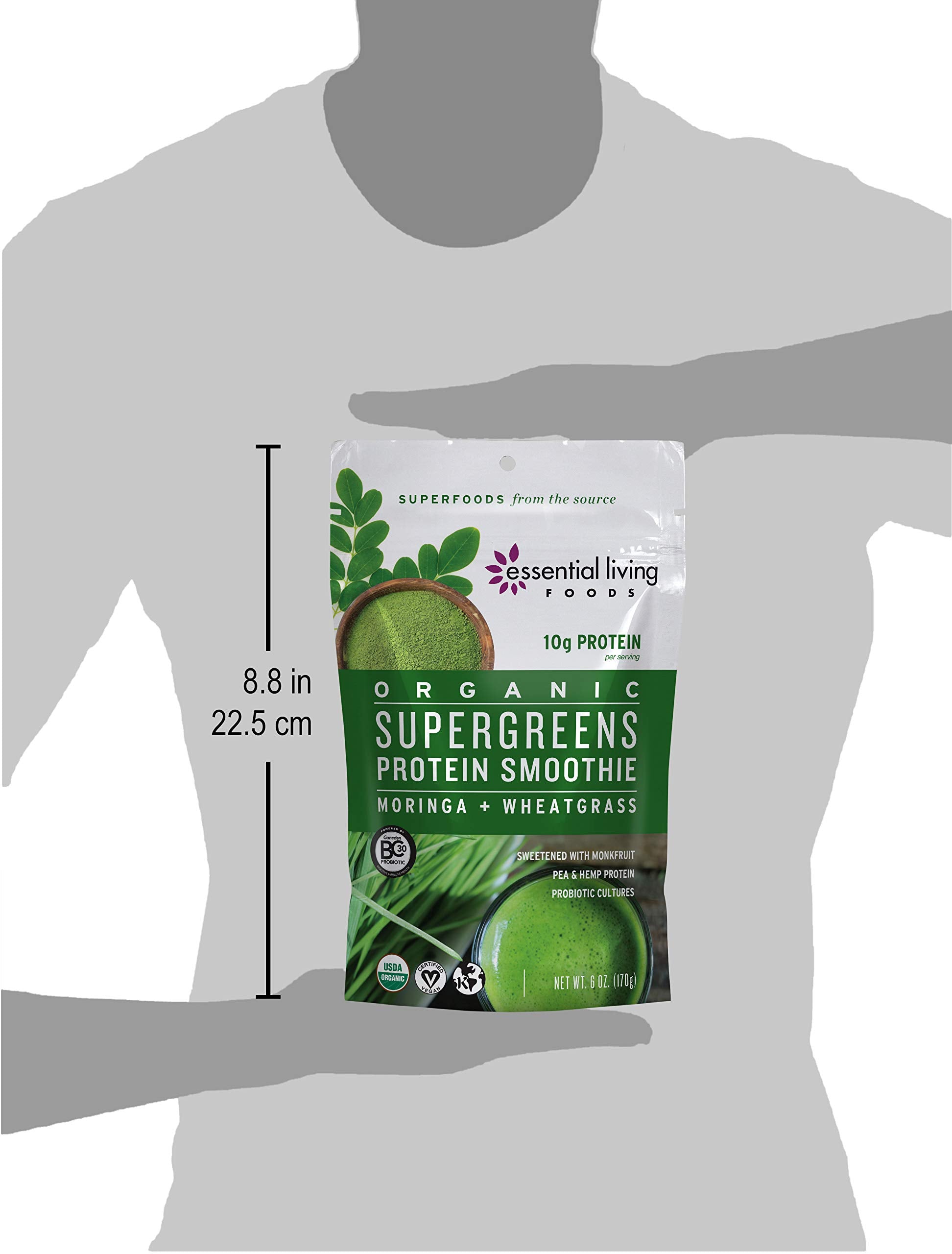 natural energy booster supplement