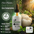 Natural energy booster supplement