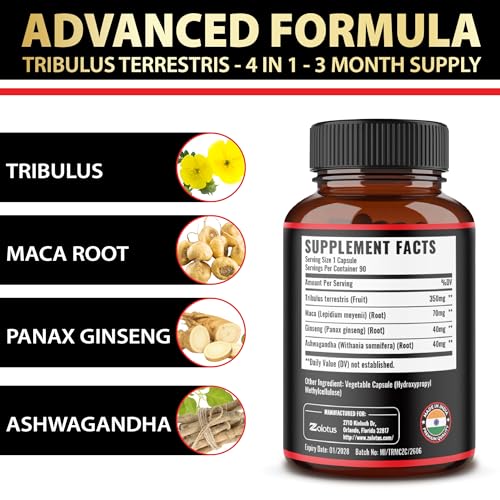 Natural energy booster supplement