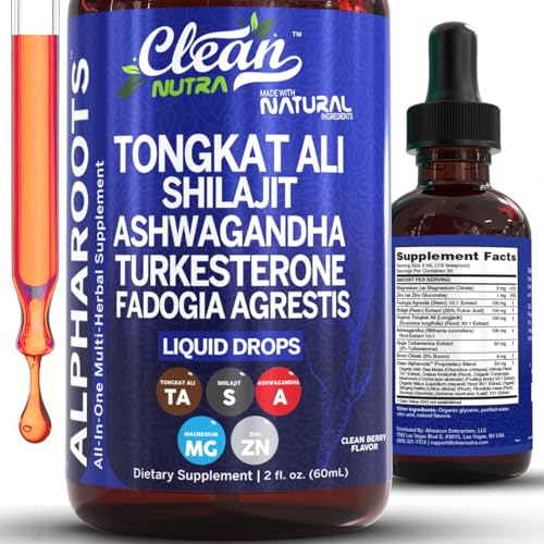 Natural energy booster supplement