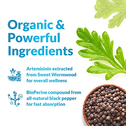 natural energy booster supplement