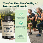 natural energy booster supplement