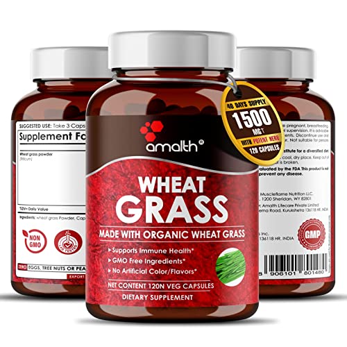 natural energy booster supplement