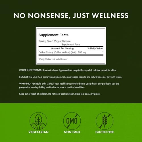 natural energy booster supplement