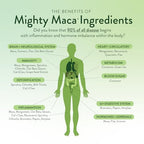 natural energy booster supplement