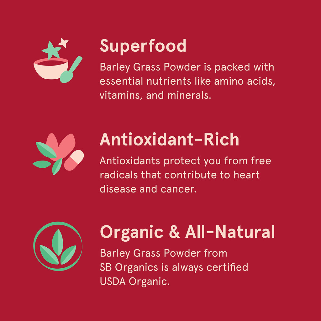 natural energy booster supplement