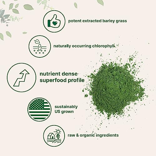 natural energy booster supplement
