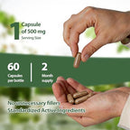 natural energy booster supplement
