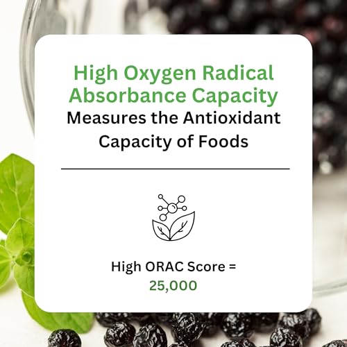 natural energy booster supplements