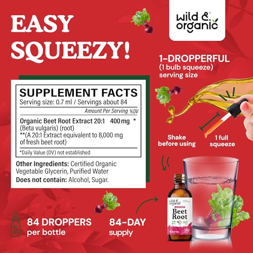 natural energy booster supplements
