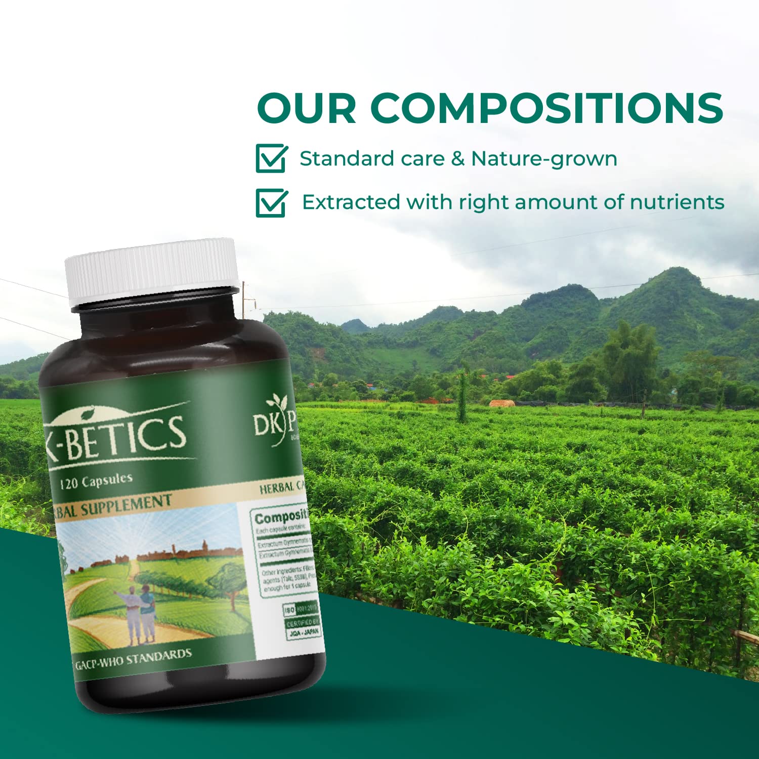 natural energy booster supplements