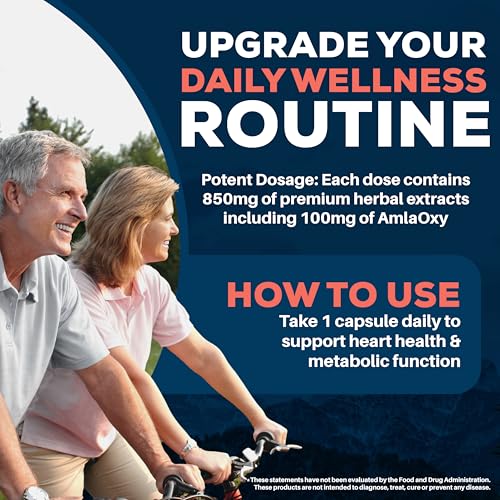 natural energy booster supplements