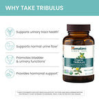 Natural energy booster Tribulus caplets