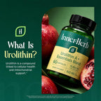 natural energy booster Urolithin A