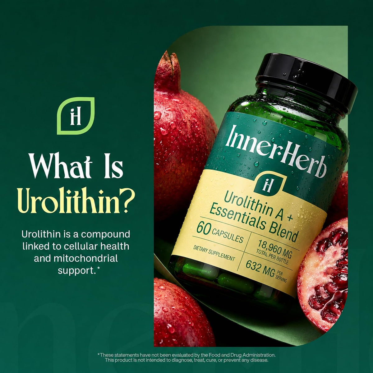 natural energy booster Urolithin A