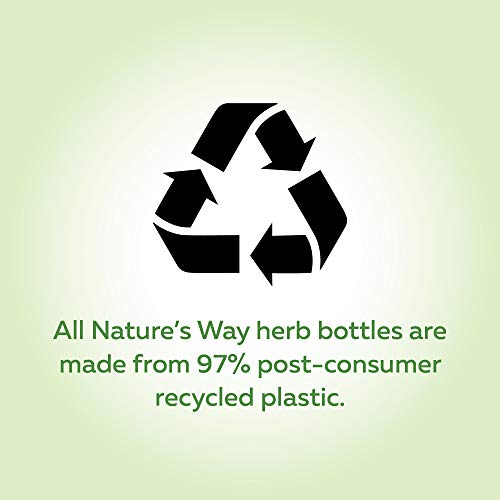 natural energy booster with astragalus
