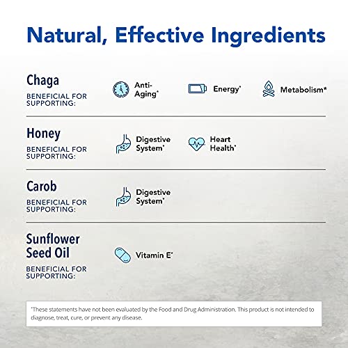 Natural energy booster with chaga