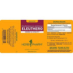 natural energy booster with echinacea