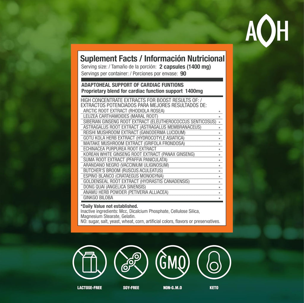 natural energy booster with ginkgo