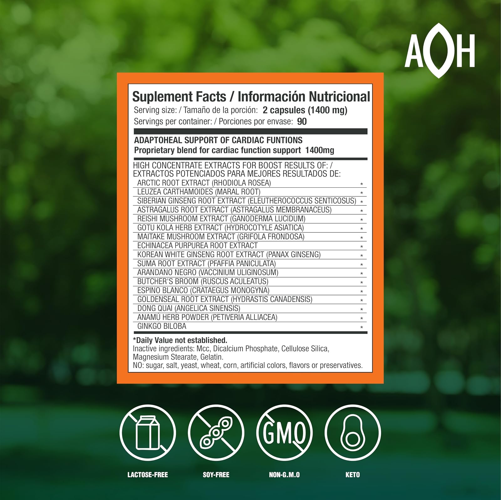 natural energy booster with ginkgo