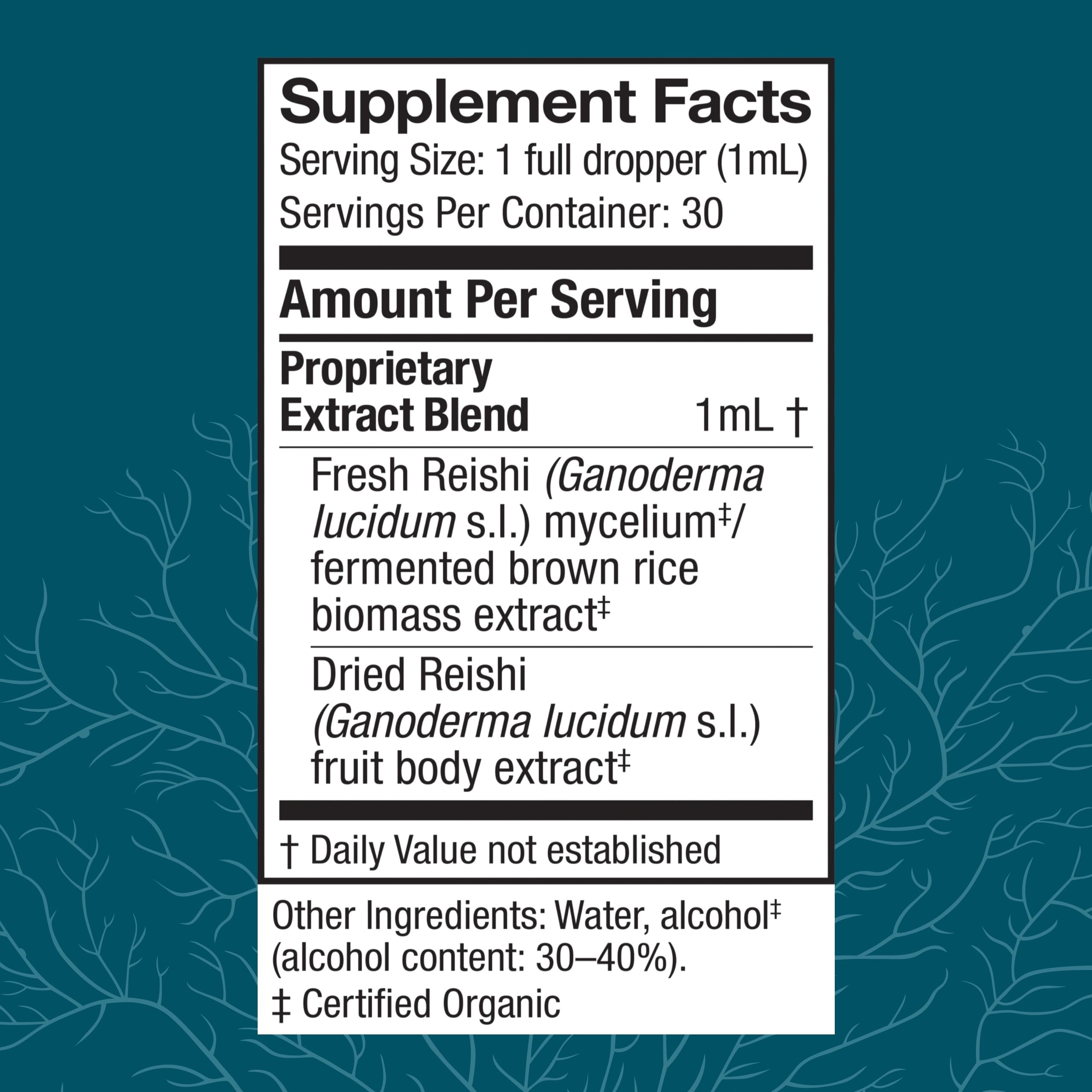 Natural energy booster with mushrooms