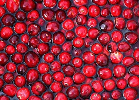 Natural energy booster with mushrooms
