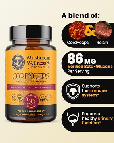 natural energy booster with mushrooms