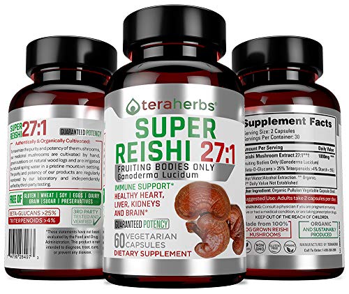natural energy booster with reishi mushrooms