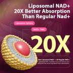 natural energy booster with Resveratrol