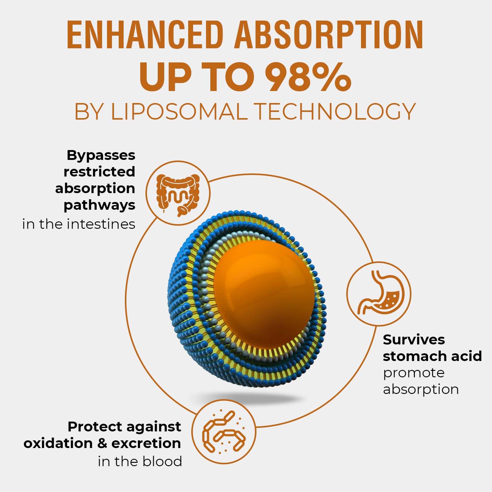 natural energy booster with Rhodiola Rosea