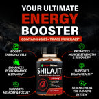 Natural energy booster with Shilajit