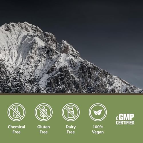 Natural energy booster with shilajit